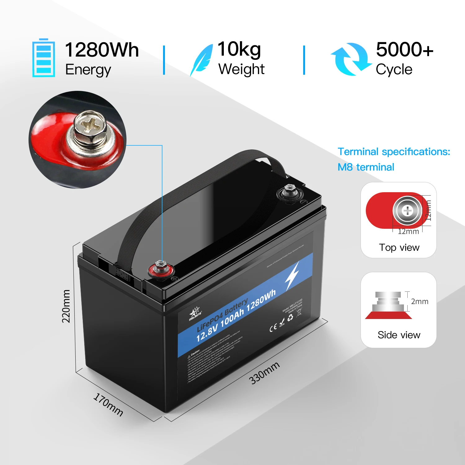 12V Lithium-Ion Battery Module - 100ah for Electric Vehicles