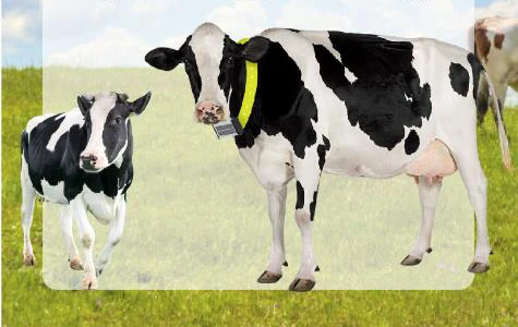 Solar Cattle Tracking Device Gps C10 Mini Gps Tracker Location Query ...