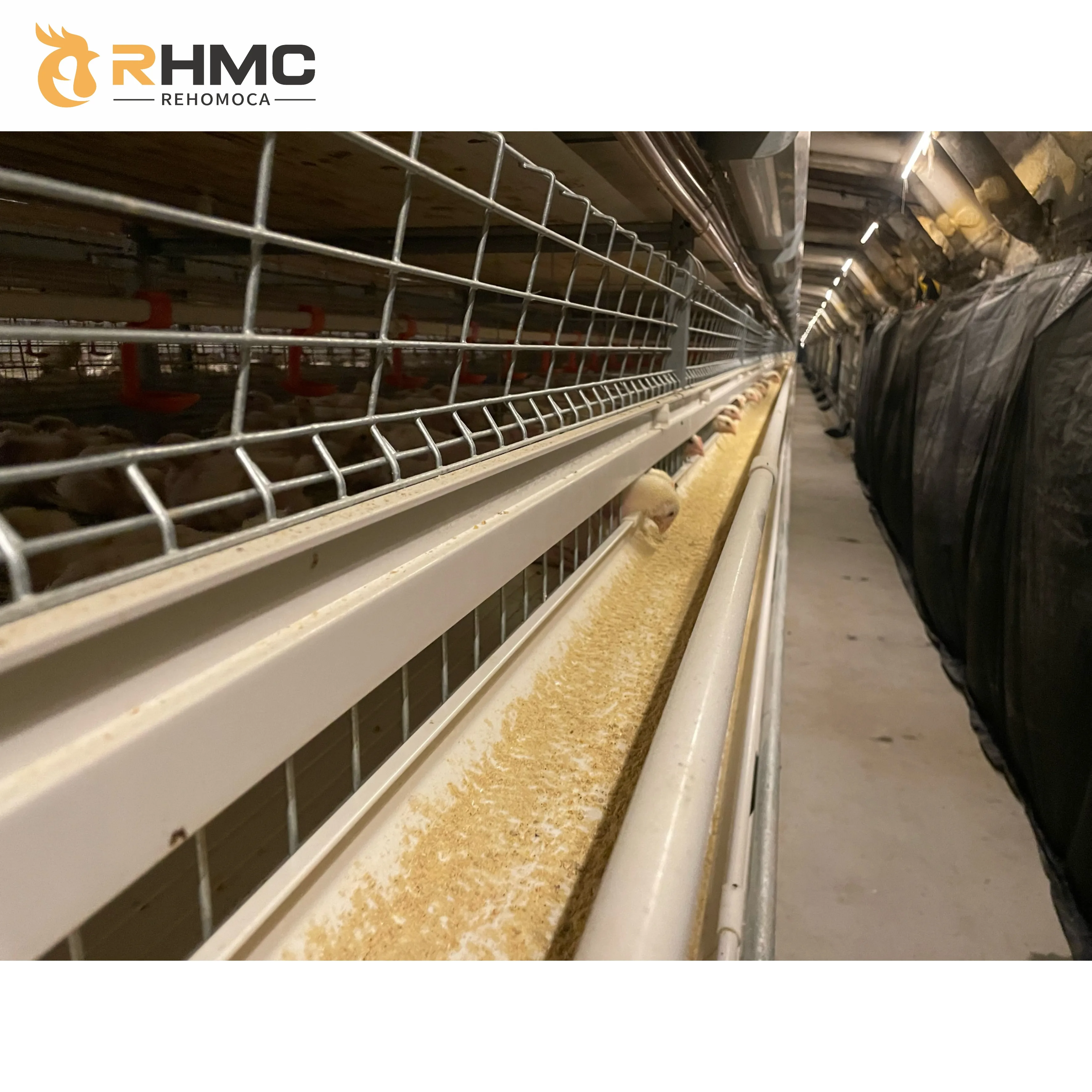 RHMC Farming Poultry Farm Automatic Broiler Chicken Cage System ...
