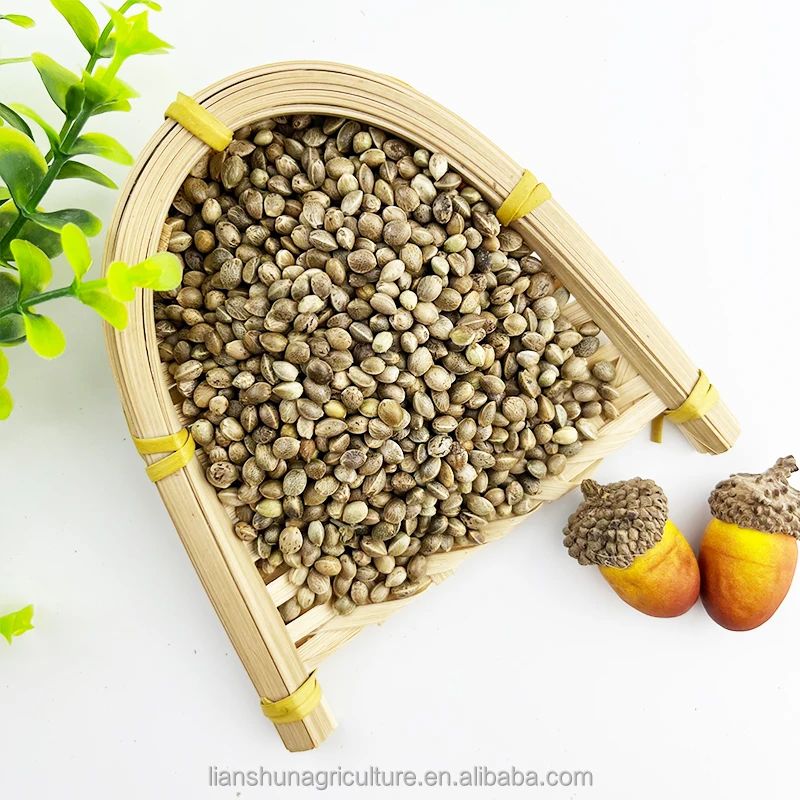 Wholesale Chinese Dried Bulk Hemp Seed with Export Hemp Seeds ( Medium ...