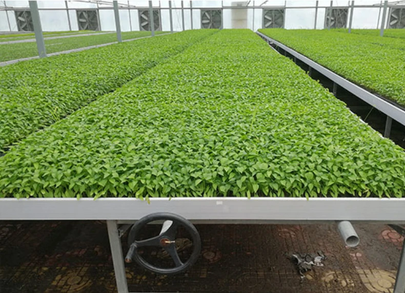 Agricultural Rolling Seedbed Roller - Vertical Farming