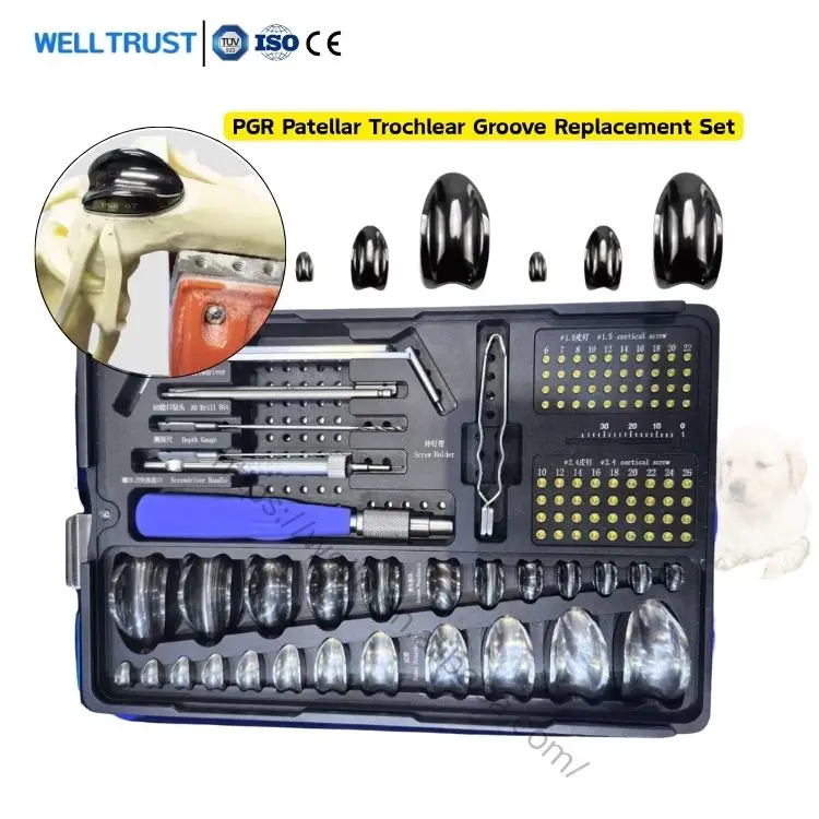 Surgical Instrument Small Animal Patellar Trochlear Groove Vet Surgery ...
