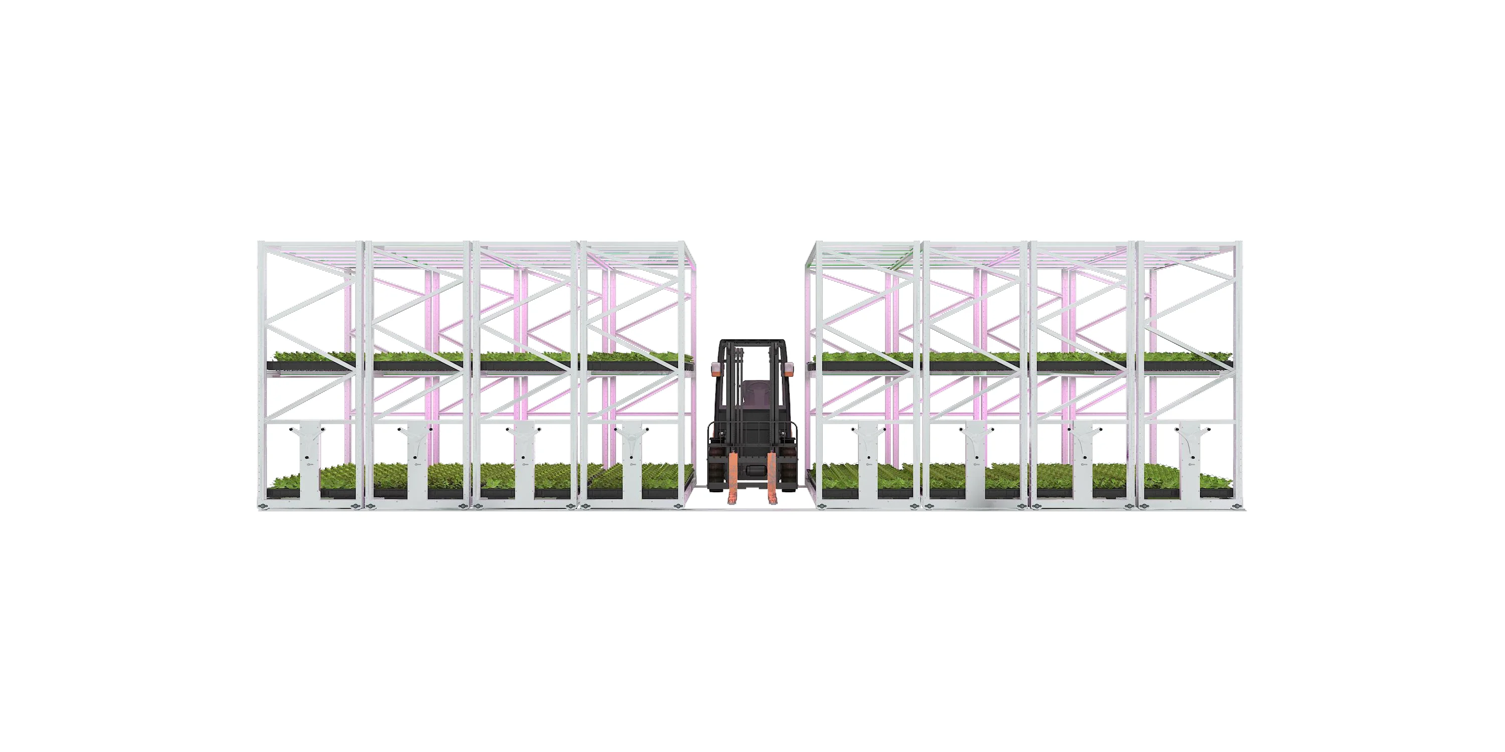 Grow Rack for Vertical Farming Customizable Height Berry Lettuce ...