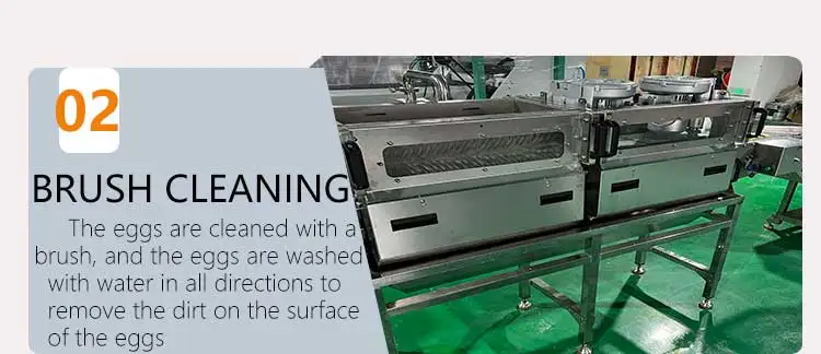 Fully Automatic Egg Duck Egg Liquid Production Line Egg White and Yolk Separation Equipment ...