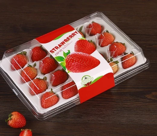 Disposable Plastic Clamshell Blister Packaging Trays For Watermelon ...