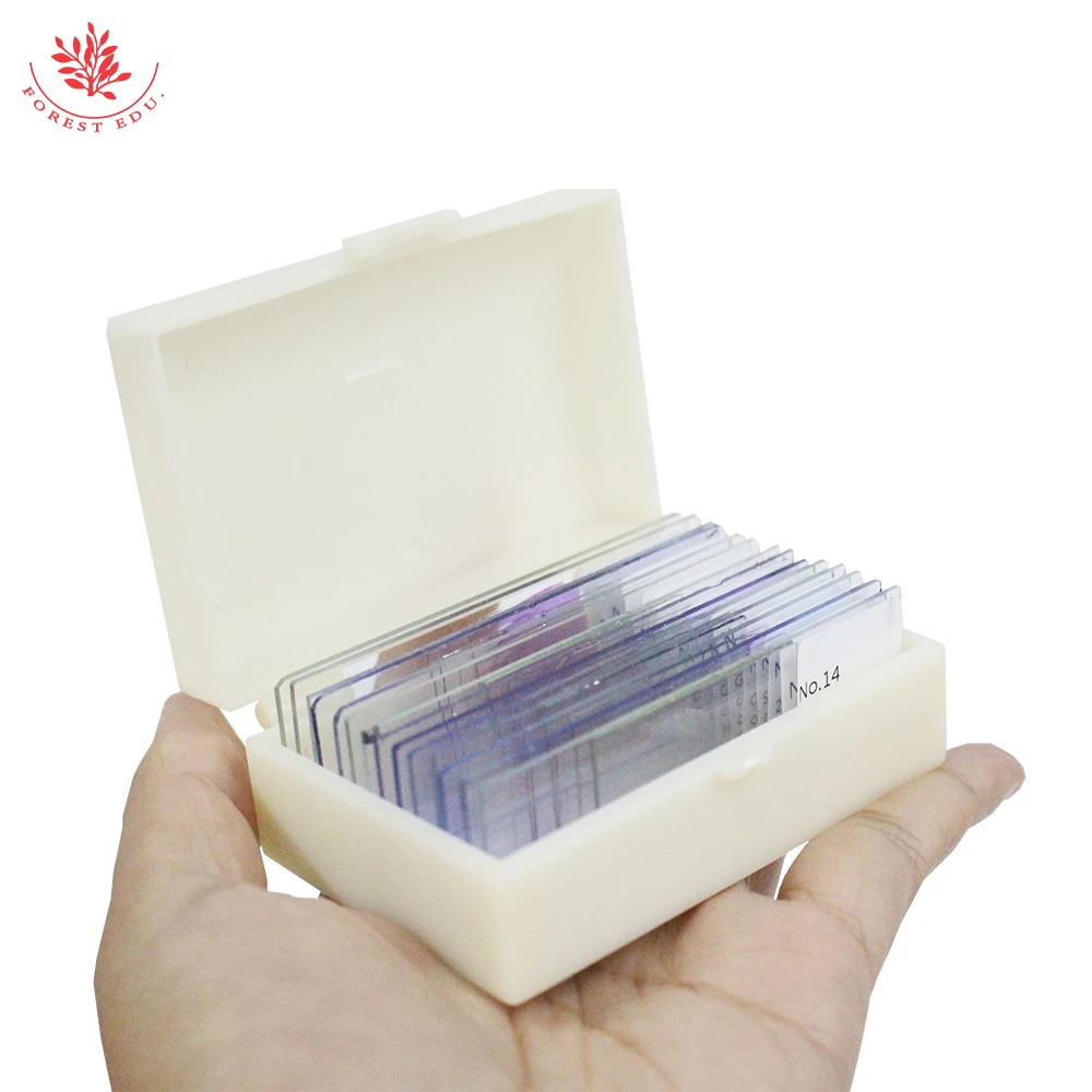 Teaching Resources And Educational Equipment School And Medical Hot ...