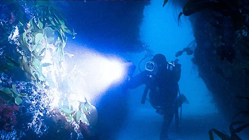 2000 Lumen Powerful Torch Glare Diving Flashlight Waterproof Long Range ...