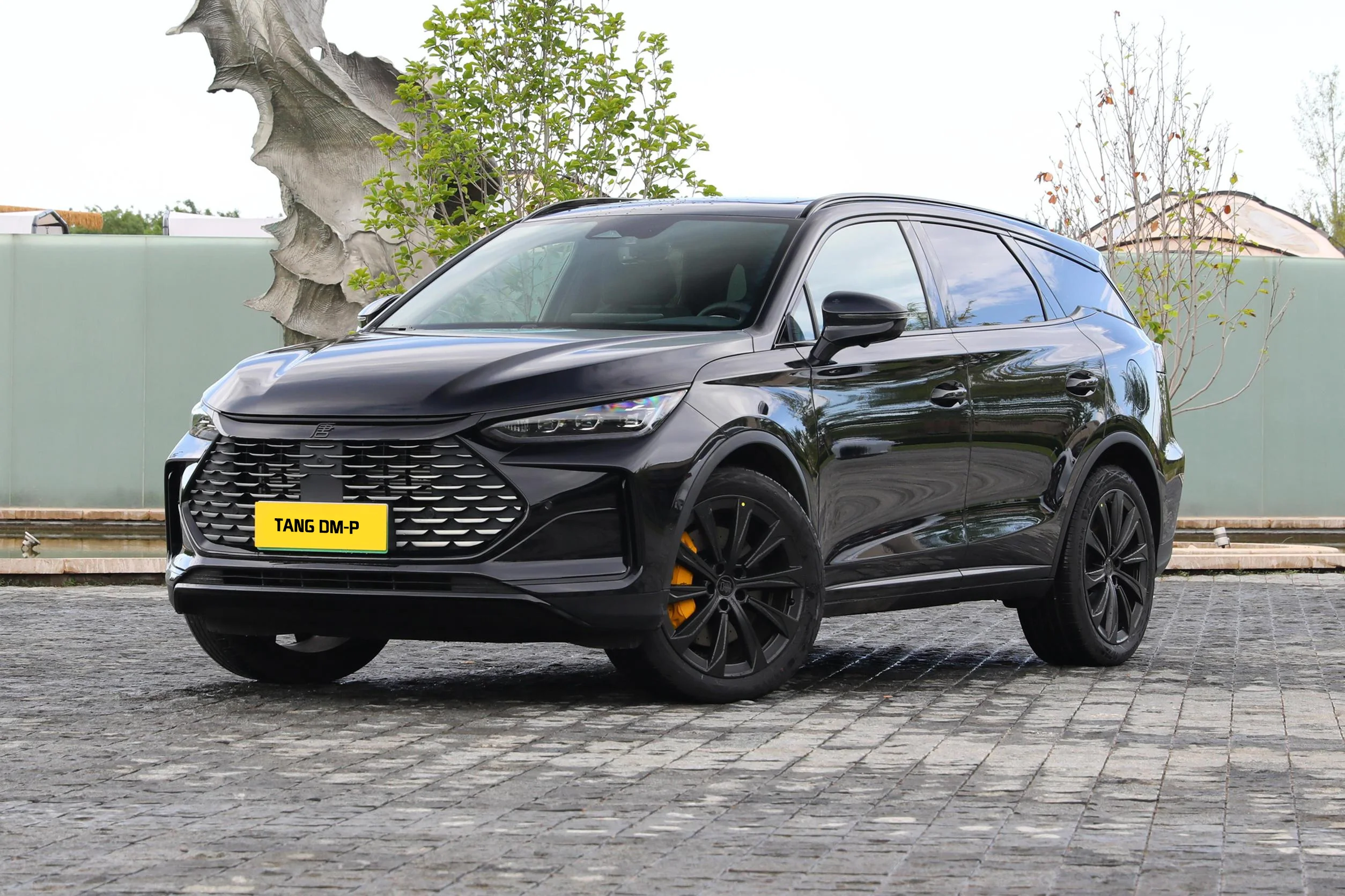 Wholesale 2024 BYD Tang DM-P SUV 4x4 Hybrid Car Byd Tang Electric SUV New Car for Sale From ...