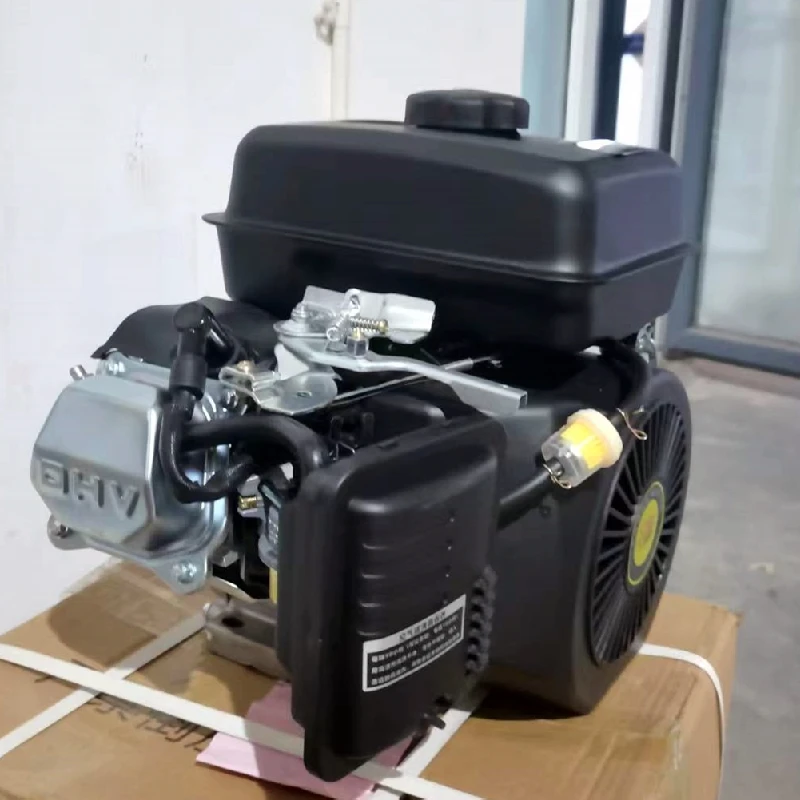 48V Electric Tricycle with Petrol Alternator - Power & Mobility