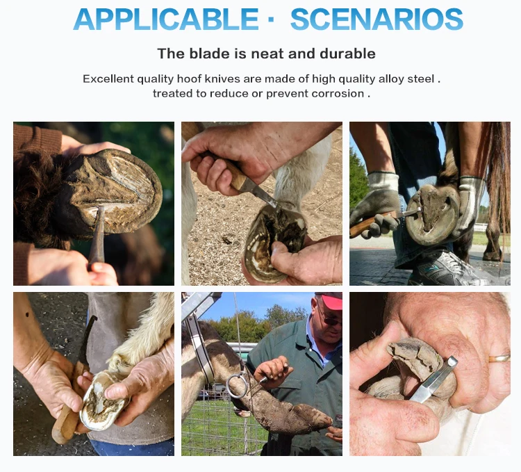 Goat Hoof Trimmers - Versatile and Durable Veterinary Tools