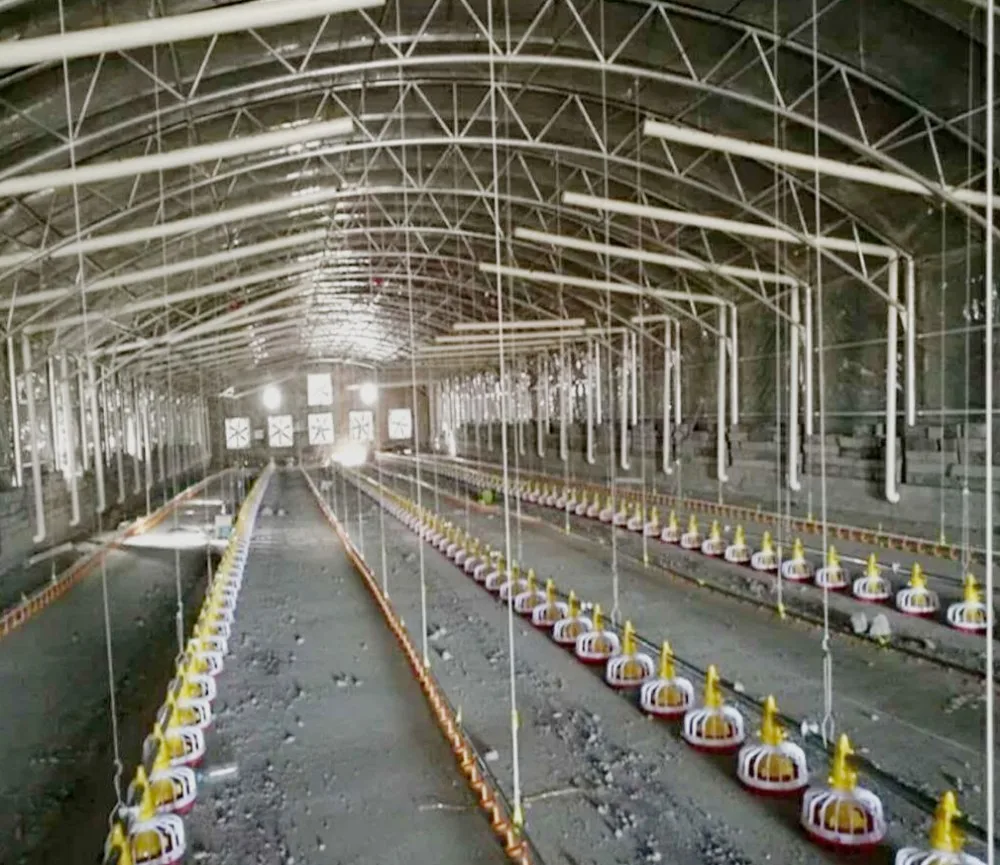 Chicken coop with automatic broiler feeding system| Alibaba.com