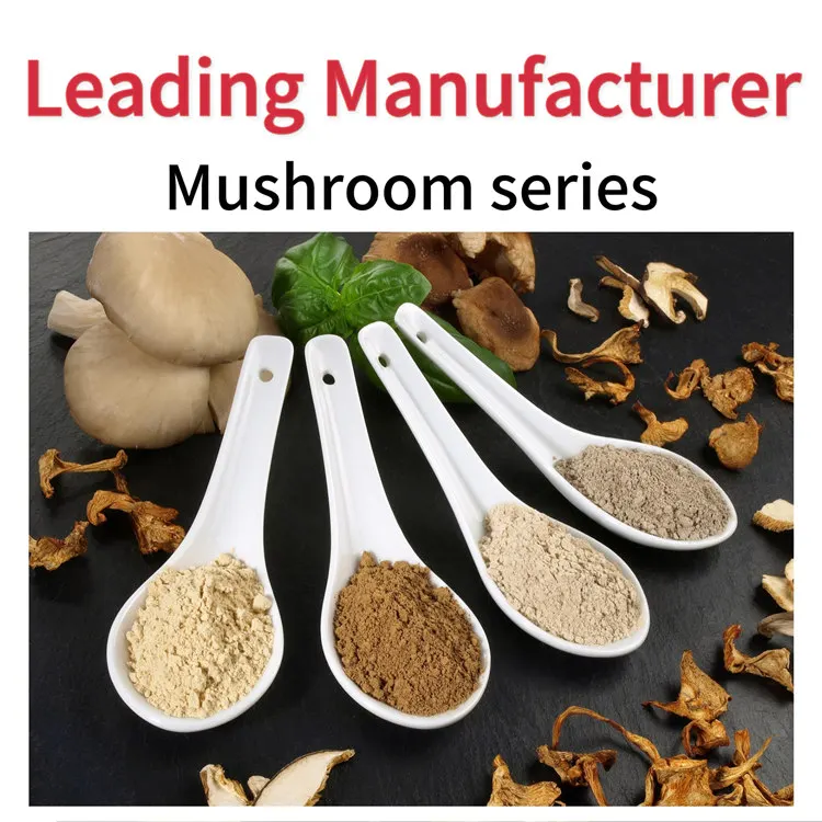 All Natural Refined Mushroom Seasoning Powder Chaga Mushroom Extract ...
