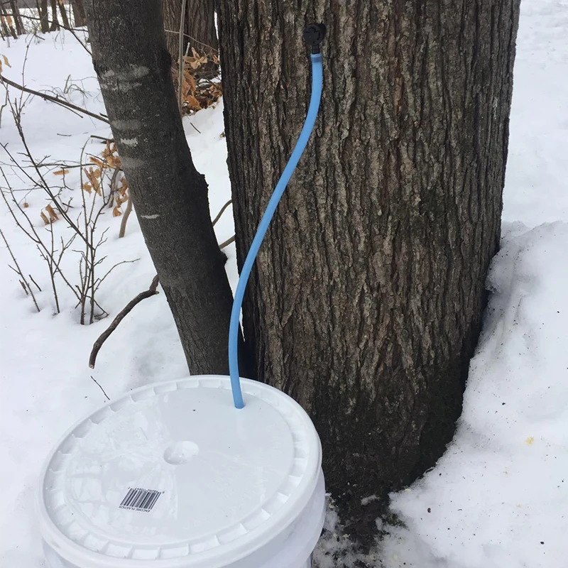 Dd1095 12pcs Sugaring Starter Dropper Tubing Collection Extractors For ...