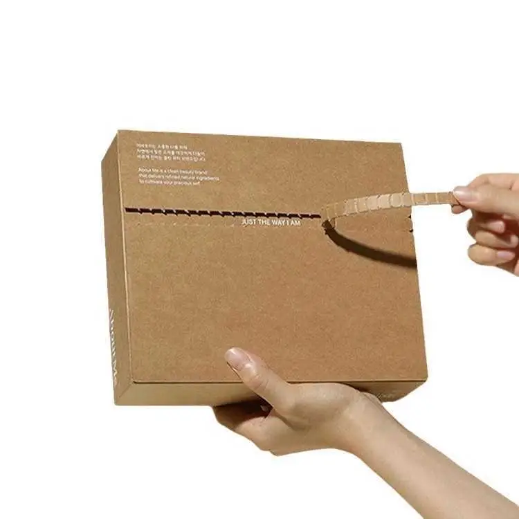 Lipack Custom Eco-friendly Corrugated Paper Packaging Boxes Self ...