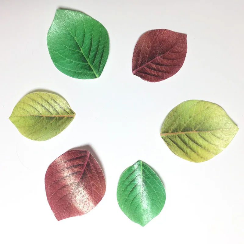 Wafer Paper Leaves Edible Glutinous Rice Paper Leaves Cake Cold Dish ...