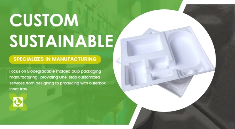 Biodegradable Wet Pressing Sugarcane Paper Tray Pulp Packaging Factory ...