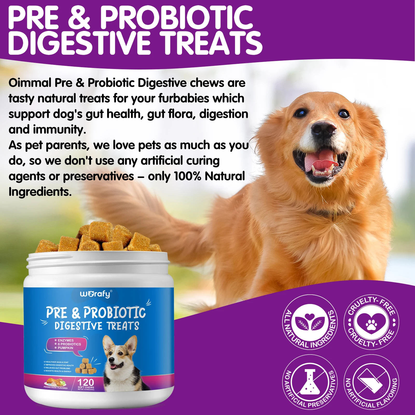 WORAFY Probiotic Soft Chews - Improve Digestive Health