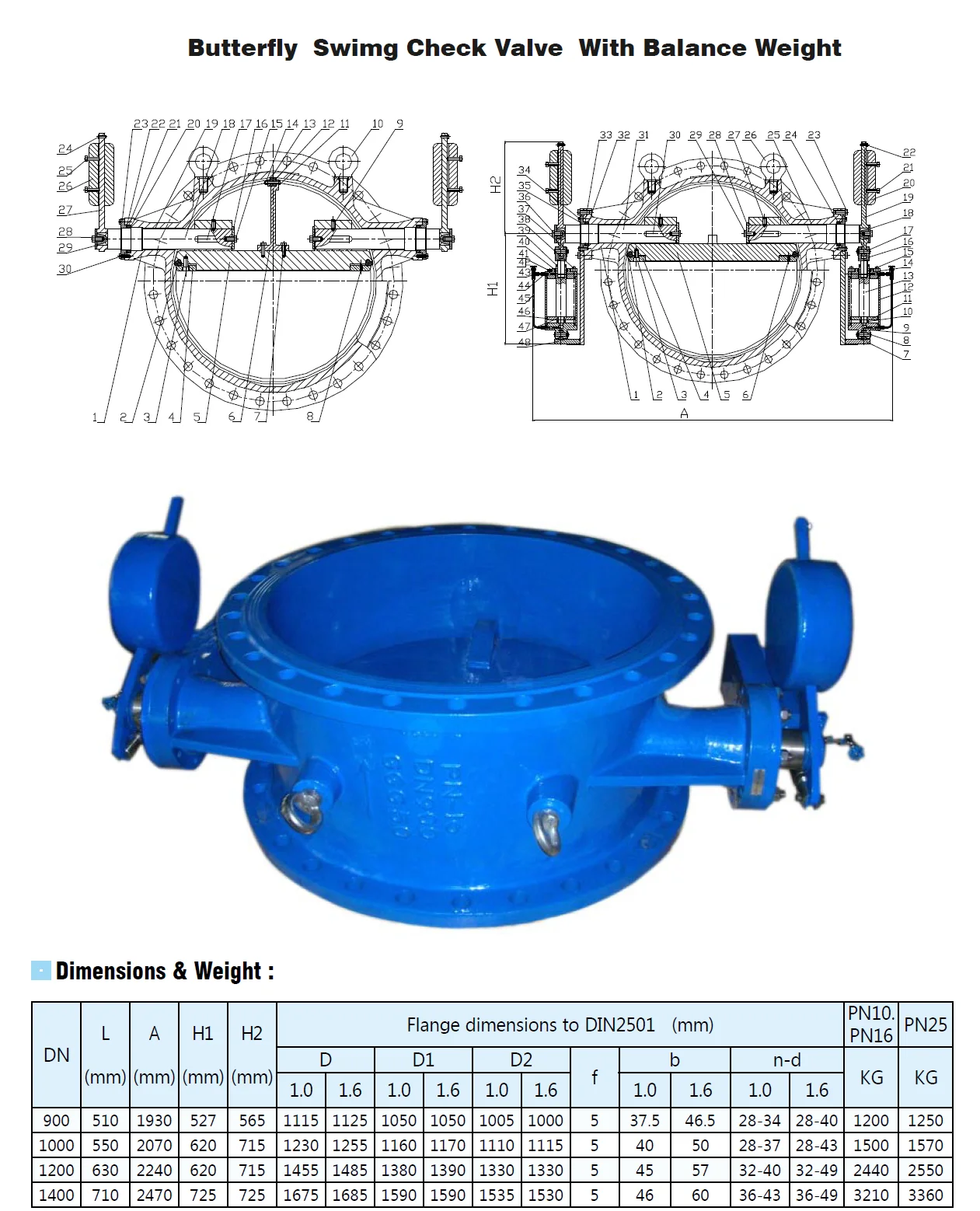 Tilting Disc Check Valve with Double Hydraulic Dampers Ductile Iron ...