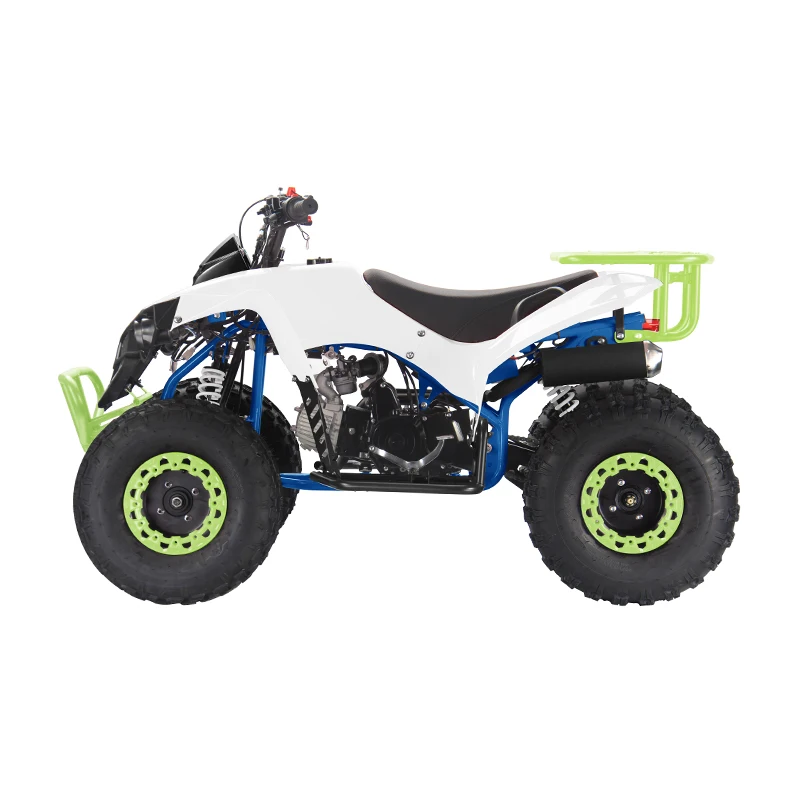 110cc Or 125cc Quad Bike Atvs With Electric Start For Adult 4 Wheeler ...