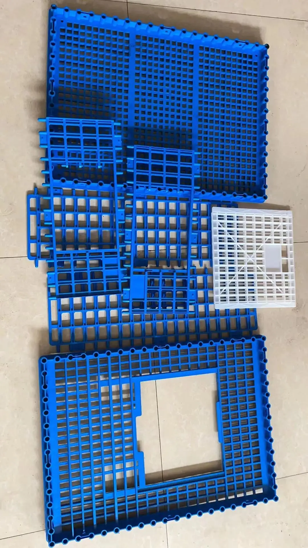 Poultry Carrier Crate for Chicken Transport - Durable & Safe