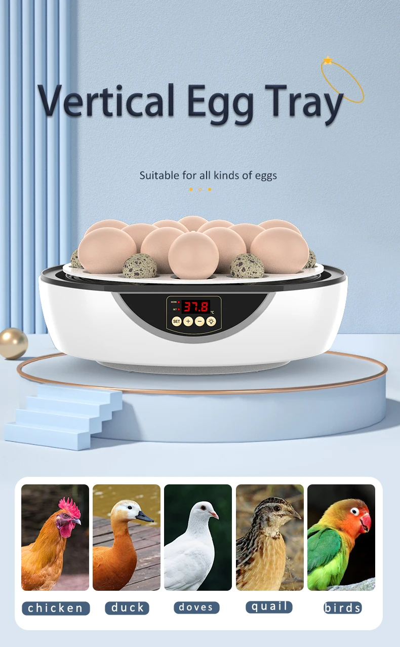 Small Size Mini Automatic Egg Incubator 6 12 18 Eggs Capacity Chicken ...