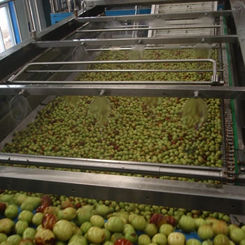 Palm Dates Processing Line Jujube Processing Machine Date Syrup ...