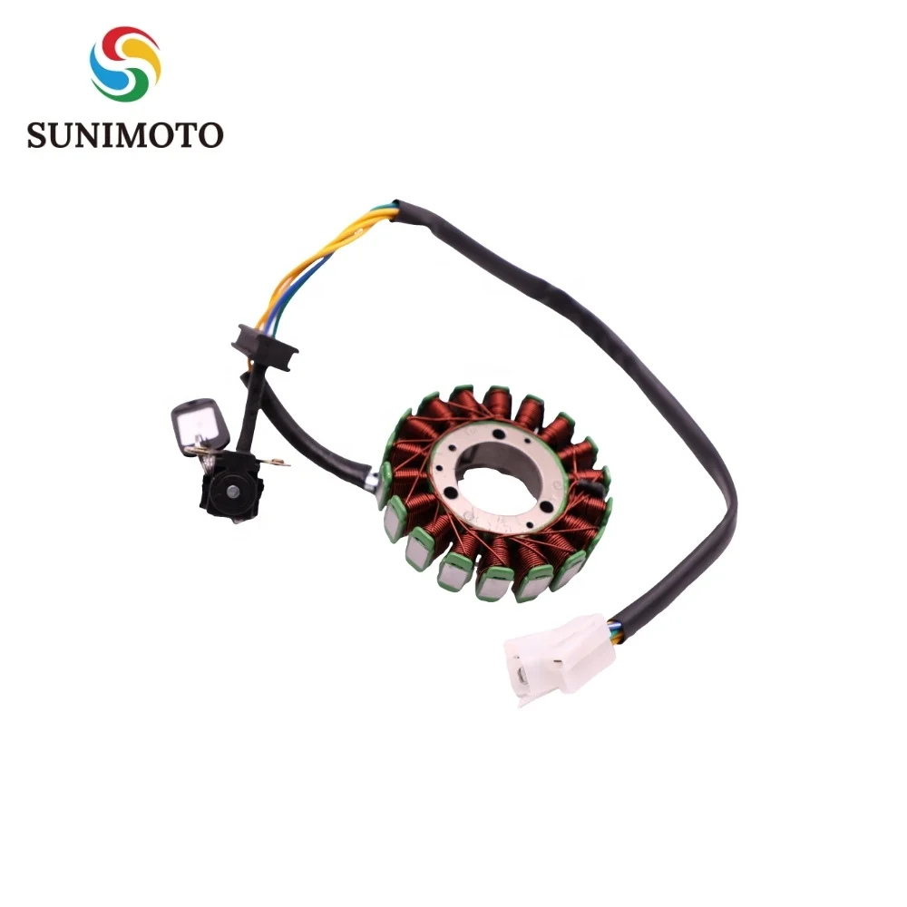 Motorcycle Stator Coil Magneto Engine Stator Rotor 125-250cc 18 Coil ...