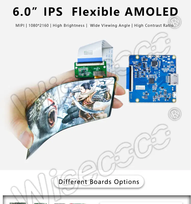 6 Inch Flexible OLED Display - High Resolution & Brightness