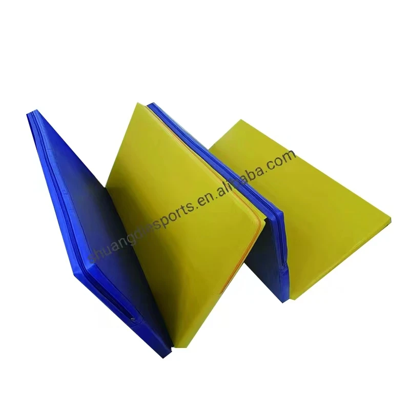 Portable Folding Customized Gymnastics Mats Gym Training Mat Pvc Panel ...