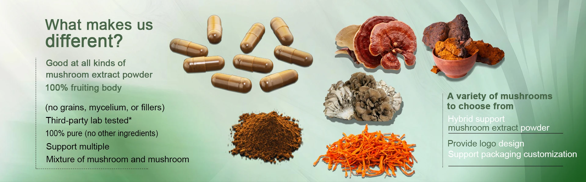 Himalayan Shilajit Gummies - Organic Immunity Boosters