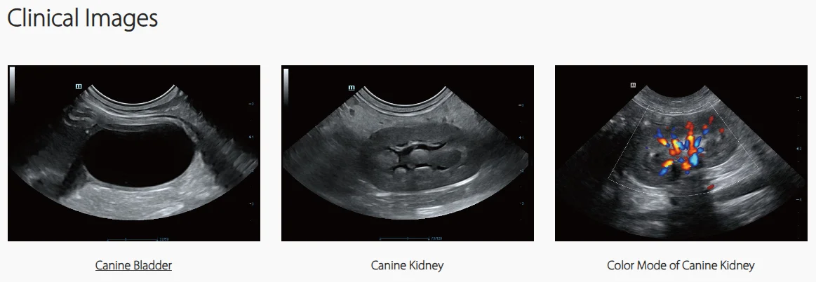 Mindray Vetus 5 Veterinary Ultrasound - 3D 4D Diagnostics