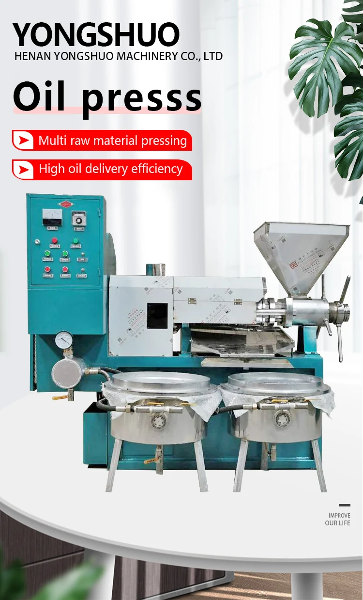 1t/h Palm Oil Press Line - Efficient & Energy Saving