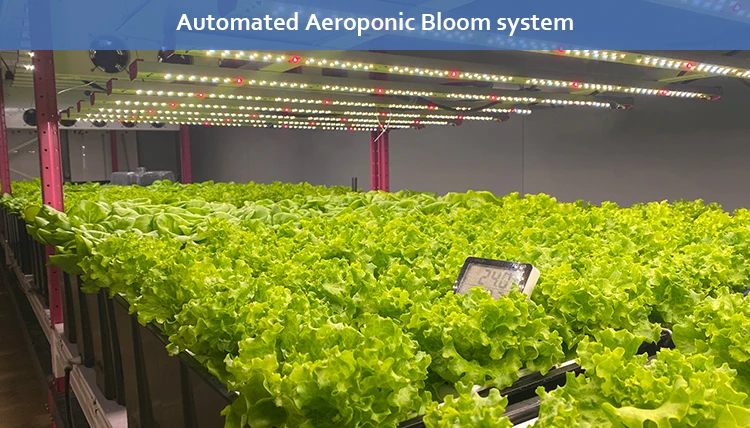 Vertical Farming - Efficient Indoor Aeroponic Systems