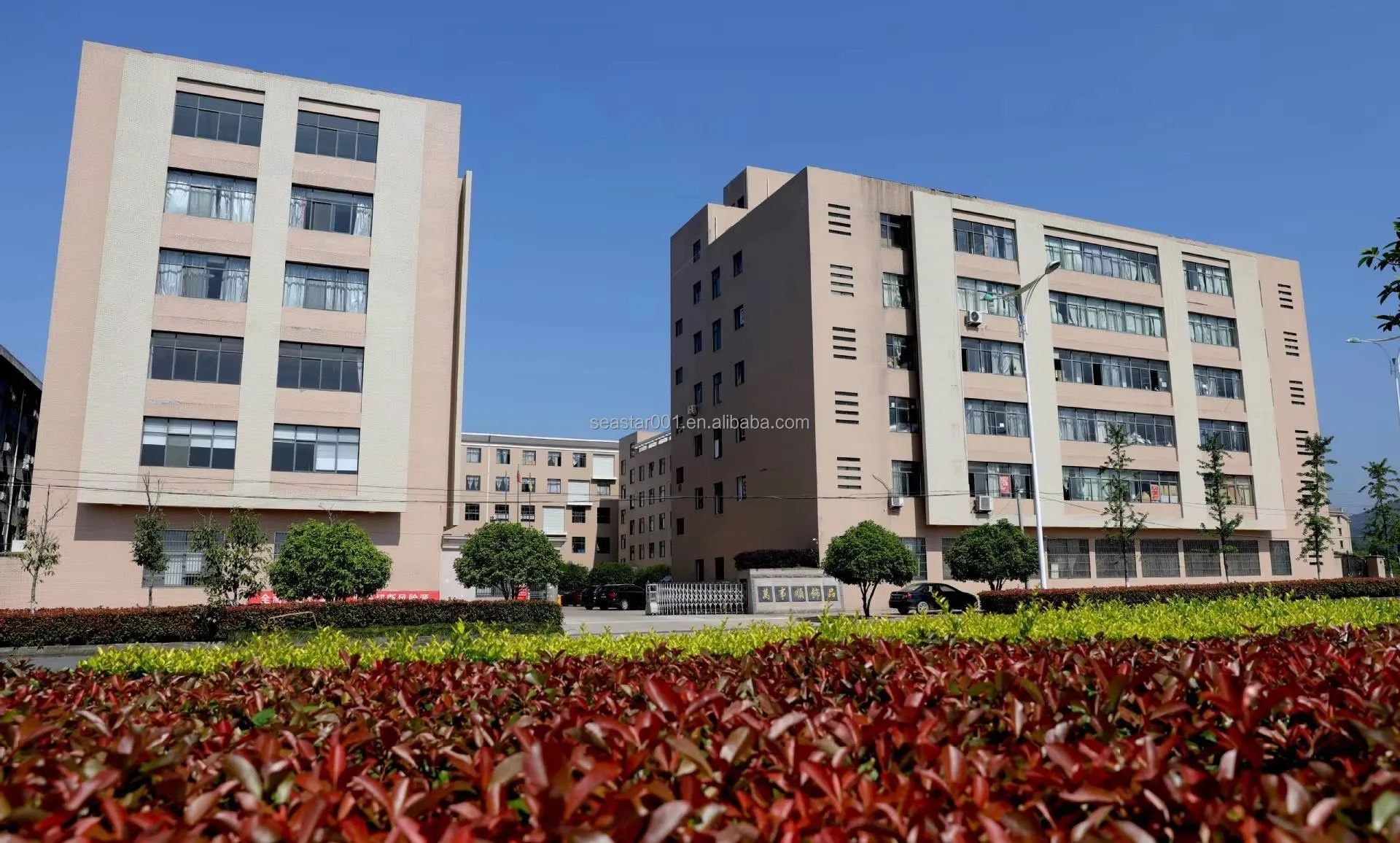 Hot Sale New Zealand Abalone Shell Polished Natural Seashell for Home ...