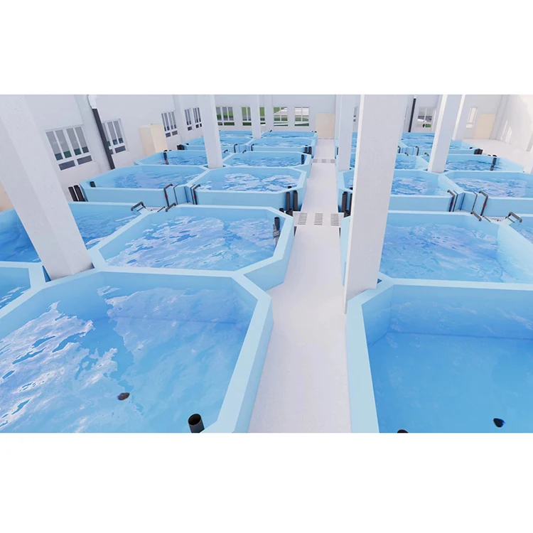 Customized Durable Recirculating Aquaculture System (RAS) From PP ...