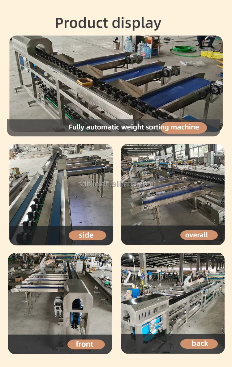 Select Machine Mango Sorting And Grading Machine Fruit Grading Machine ...