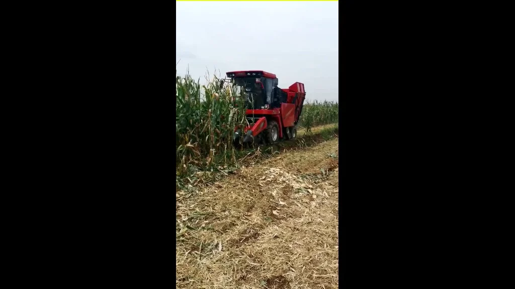 3 Row Ear Corn Harvester With Peeling System For The Yellow Corn And ...