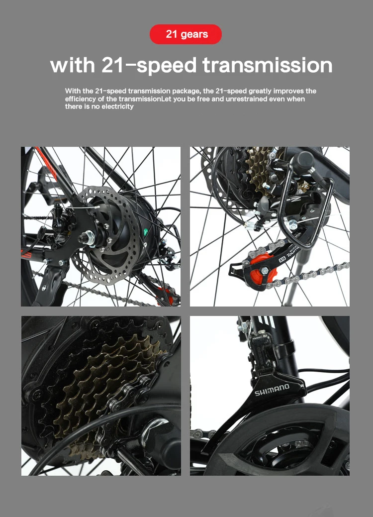 FRIKE Electric Bike - 1000w Power, 26inch Frame, 21 Speed