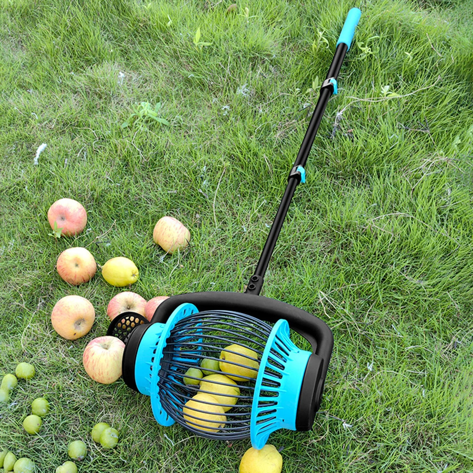 New Design Garden Fruit Picker Nuts Golf Balls Easy Collector with ...