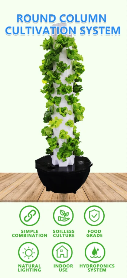 Vertical Farming with Hydroponic Systems - Modern & Efficient