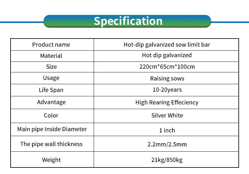 Durable Hot Galvanized Steel Pipe Gestation Pen for 10 Sows