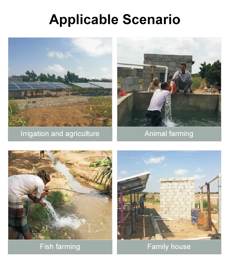 LiKou 1500W High Pressure 96V Solar Farm Irrigation Water Pump Machine Powerful High Head for ...