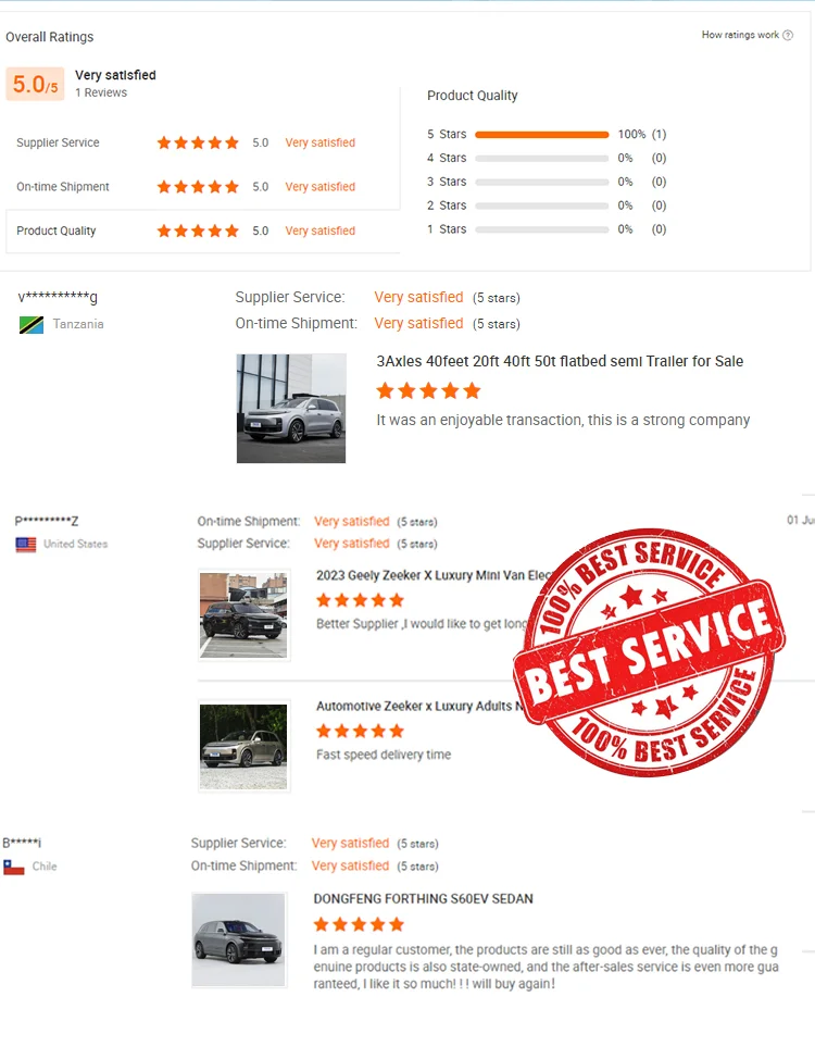 Byd Dolphin 2024 Suv Pure Electric Driving Range 405km 305km Most Popular China Export New ...