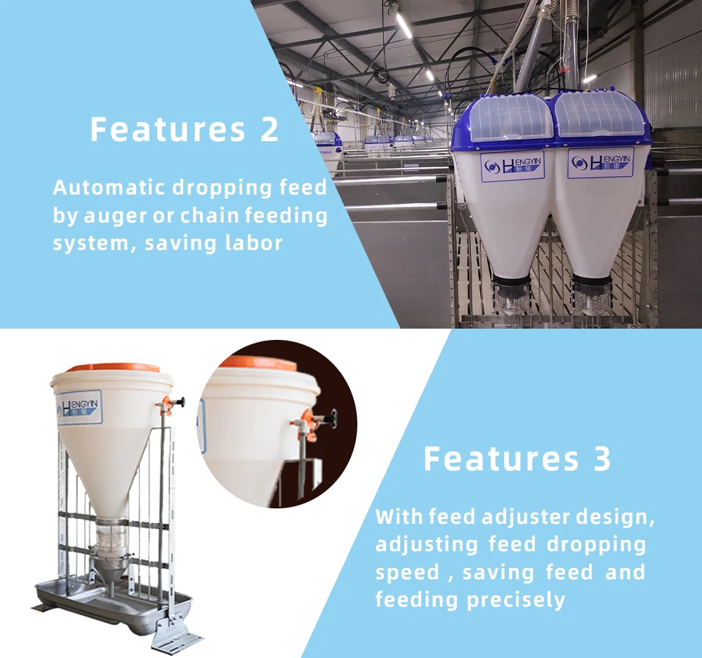 Stainless Steel Bracket Automatic Pig Farming Dry Wet Feeder For Pig ...