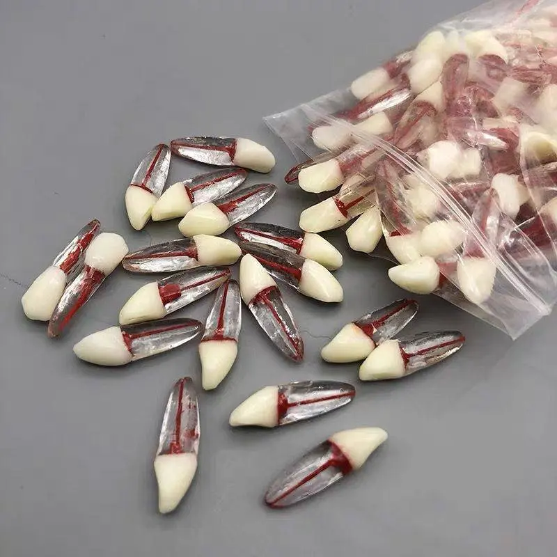 Dental Endodontics Endo Tooth Teeth Root Canal Models For Rct Training ...