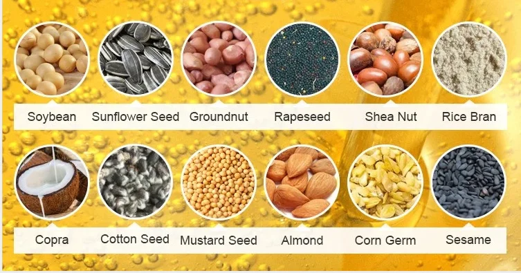 Small Cooking Oil Sunflower Oil Peanut Oil Refining Unit - Buy ...