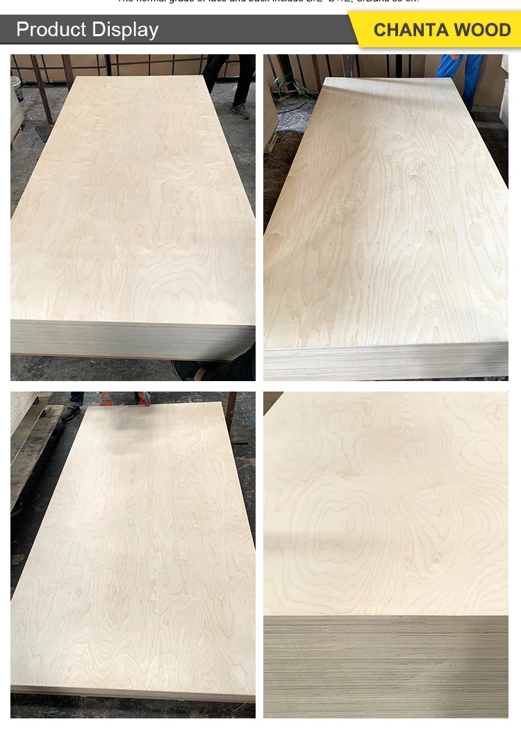 18mm Uv Birch Plywood/uv Coating Birch Plywood From Linyi Chanta - Buy ...