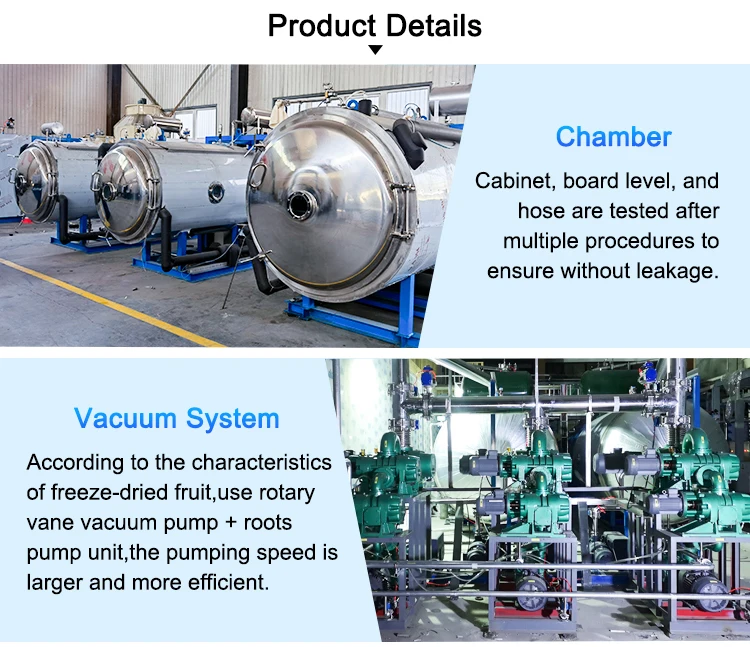 Fruit Dryer CE Industrial Lyophilizer Vacuum Freeze Dryer for Food ...