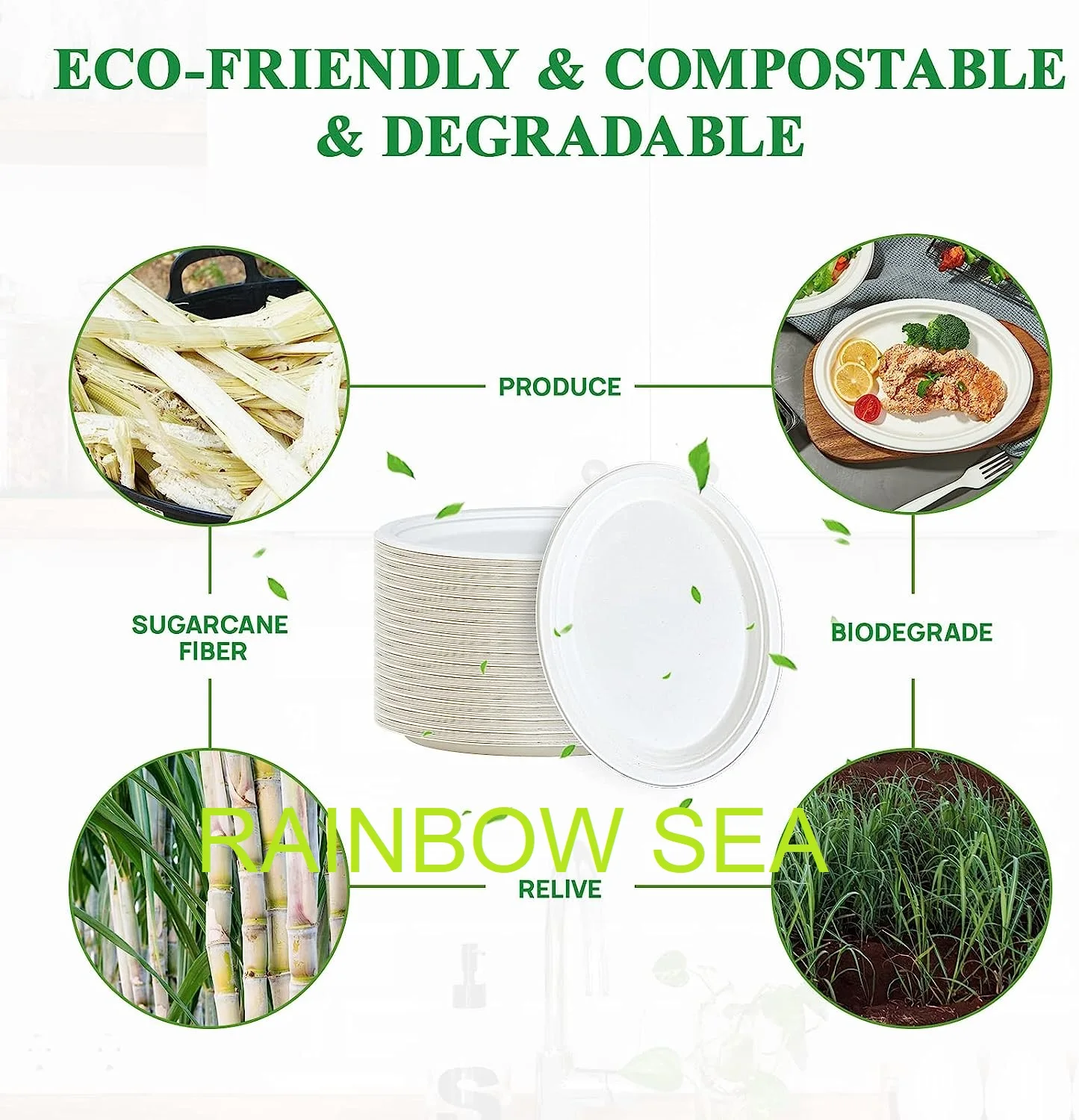 Disposable Sugar Cane Paper Plate Bagasse Fiber Dry Fruit Dinner Party ...