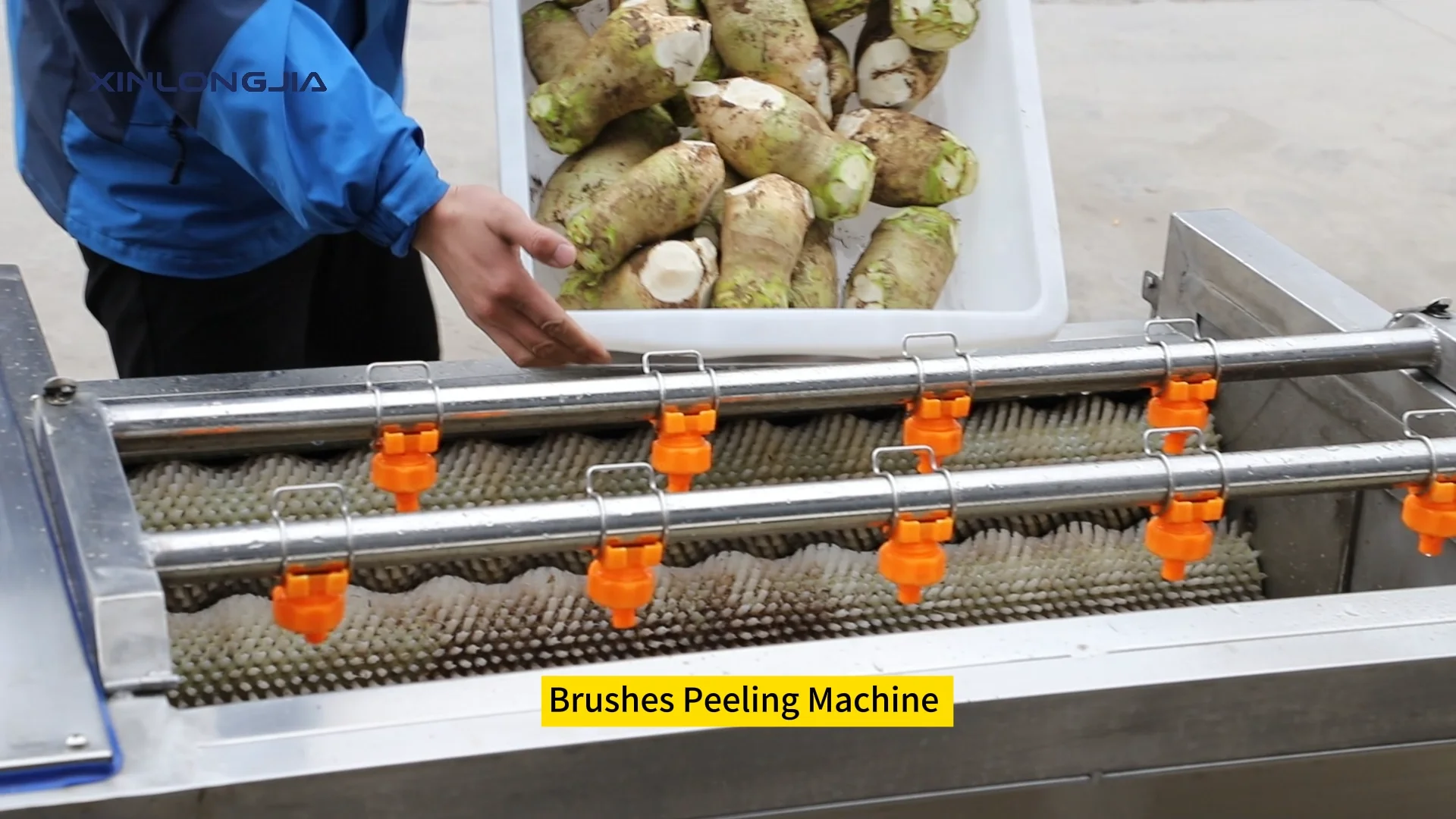 Factory Price Sus304 Potato Ginger Cassava Potato Roller Washer Cleaner ...